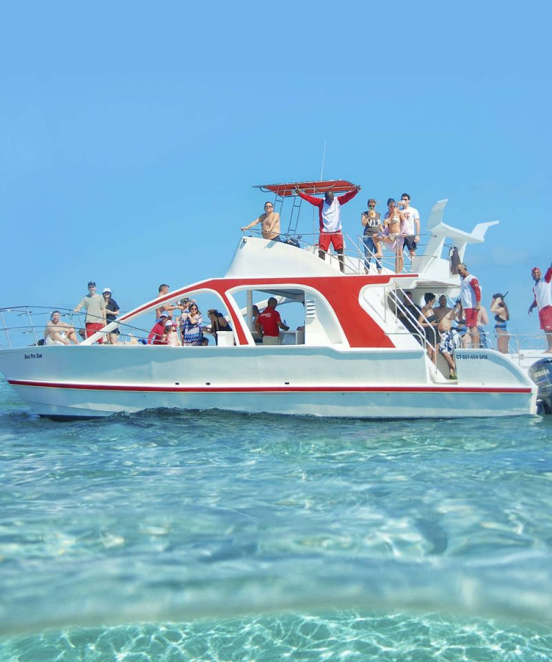 Best Dominican Republic Tours, Excursions & Activities - TravelSearch Guru