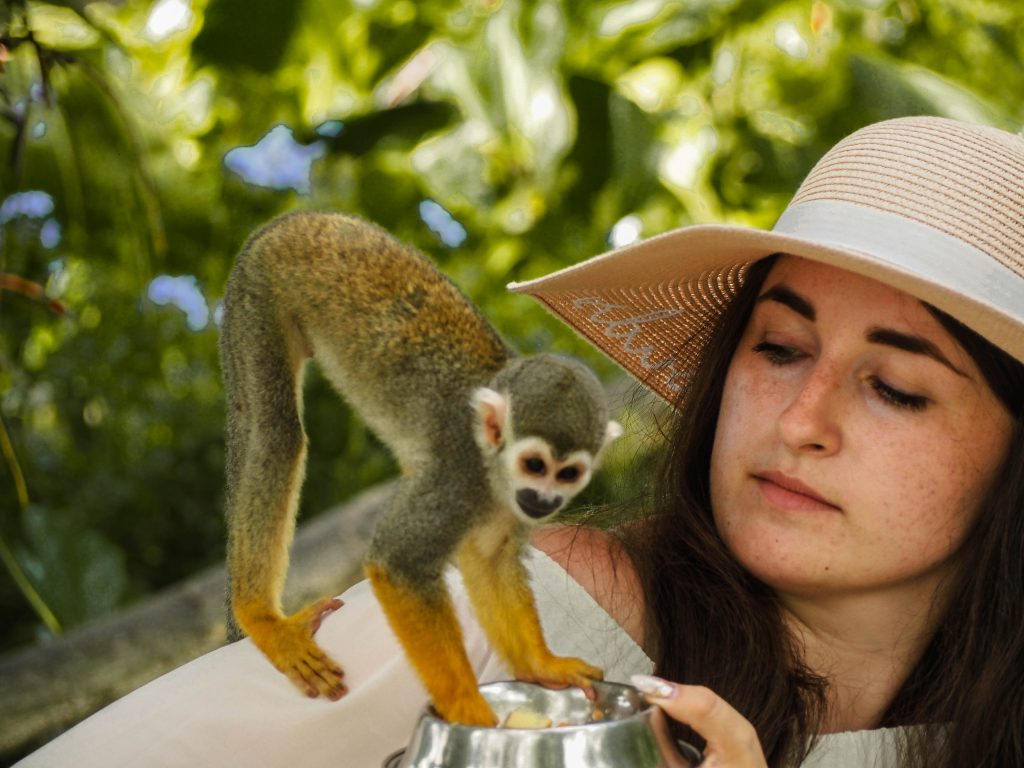Monkeyland Punta Cana: The Ultimate Family Fun For All Ages ...