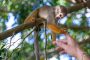 Monkeyland Punta Cana: The Ultimate Family Fun For All Ages ...